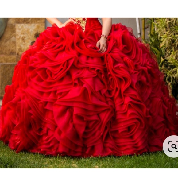 House of Maganda | Dresses | House Of Maganda Gown Corset Top Rosette ...